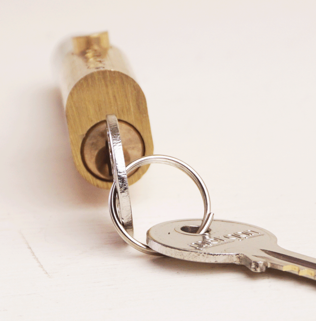 Roller shutter bullet lock pin locks oval style replacement ...